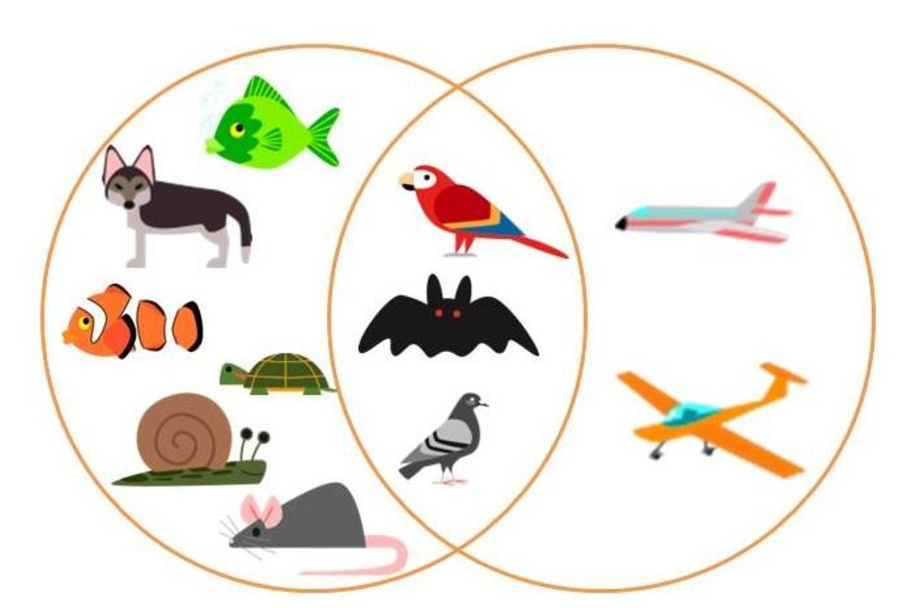 How to Group Sets and Create Venn Diagrams | Smartick