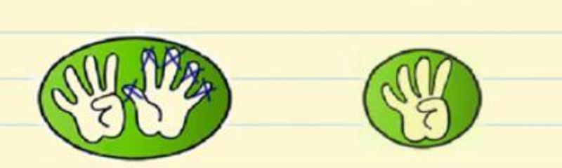 Learn How to Subtract with Examples - Elementary Math