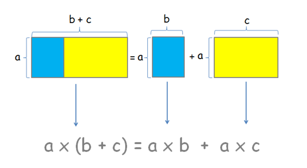 Learn About the Distributive Property of Multiplication - Elementary Math