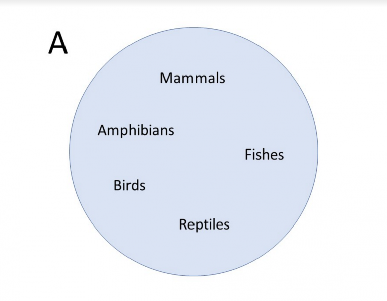 Learn About Set Theory and Study Technique - Elementary Math