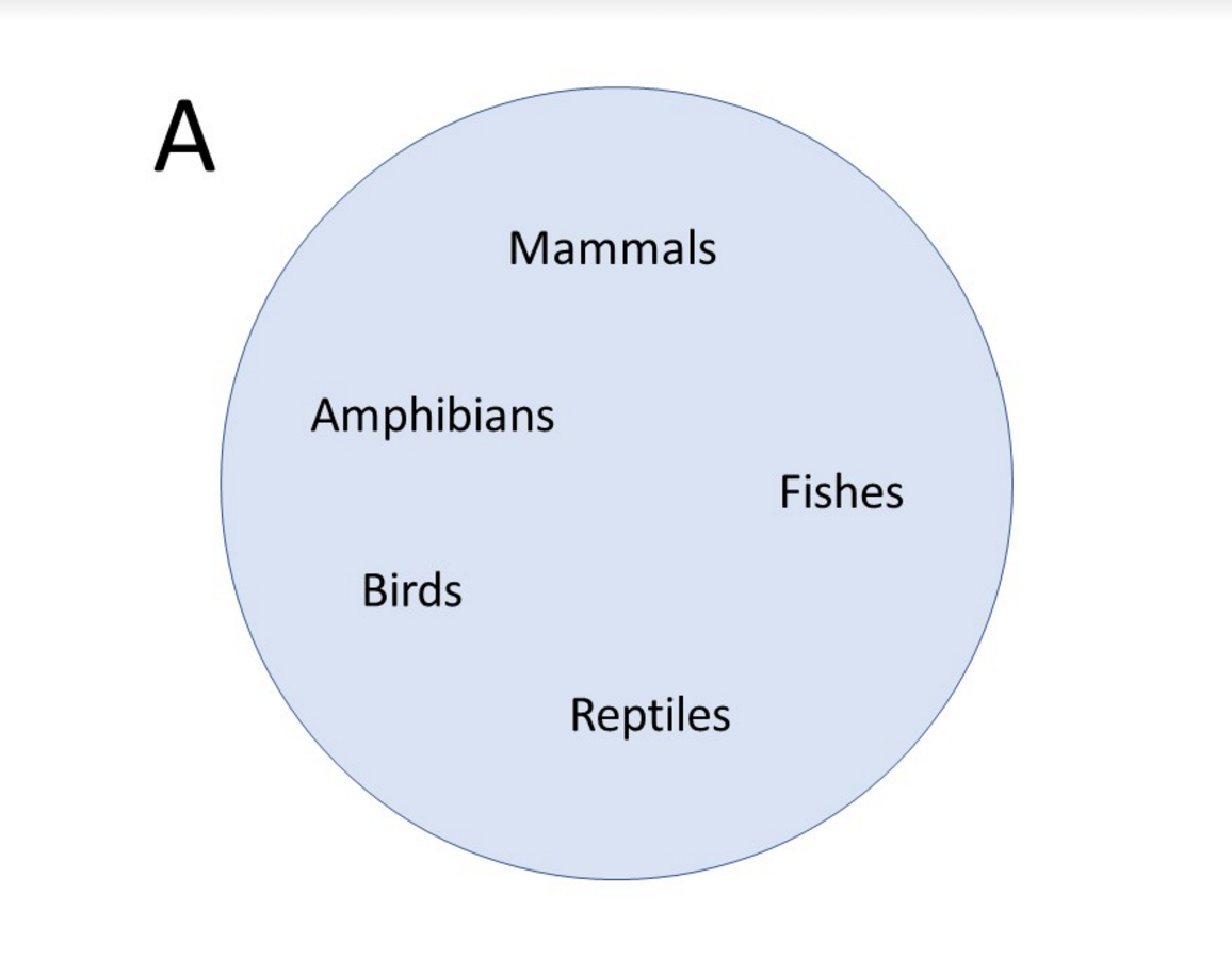 Learn About Set Theory and Study Technique - Elementary Math