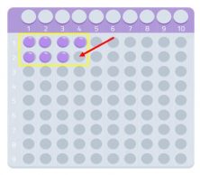Prime Numbers: What are They and How to Find Them | Smartick