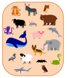 Introduction to Sets and Subsets - Smartick