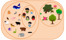 Introduction to Sets and Subsets - Smartick
