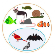 How to Group Sets and Create Venn Diagrams | Smartick