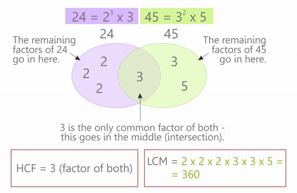 Least Common Multiple: What is the LCM and How to Find it?